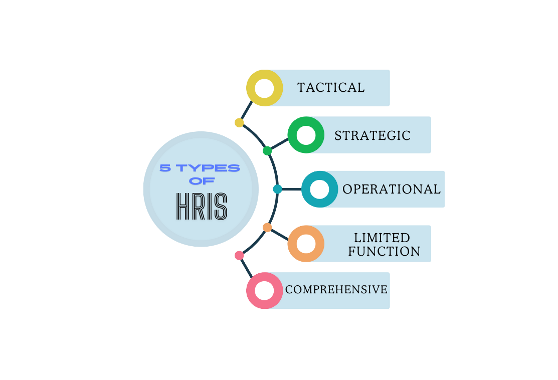 5 Different Types of HRIS for Better Organizational Performance